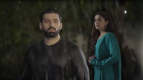 Ishq Mein Tere Sadqay Last Episode Ends With Proposal