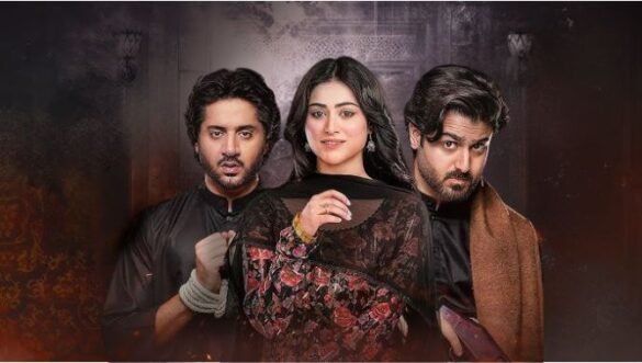 Green Entertainment Airs Final Chapter of Ghulam Basha Sundri